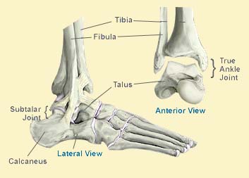 Ankle Replacement Surgeons, Ankle Foot Surgery, Ankle Injuries ...